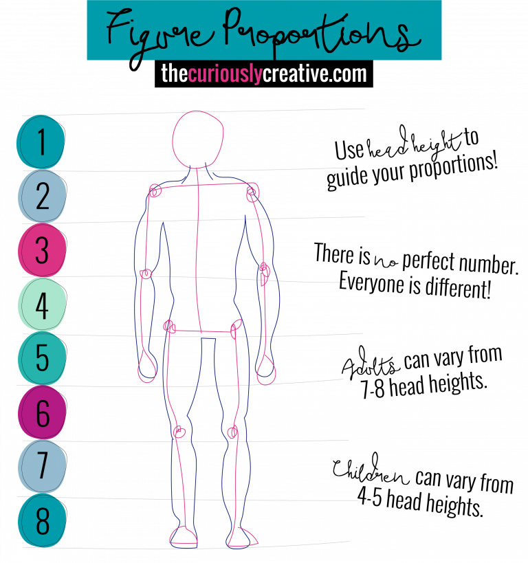 The Beginners Guide To Figure Drawing - The Curiously Creative