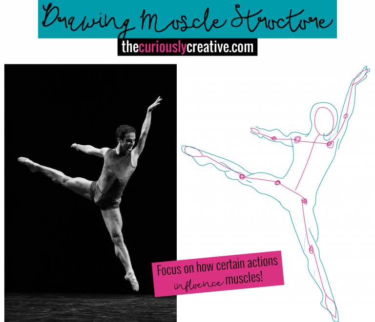 The Beginners Guide To Figure Drawing - The Curiously Creative