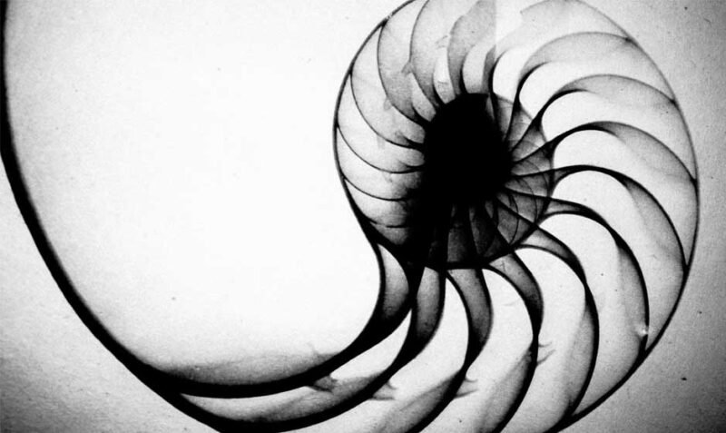 The Art of Creativity: How to Unlock Your Inner Genius - The Curiously ...
