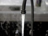 Nick gereffi Biography: Family and Career Life - The Curiously Creative