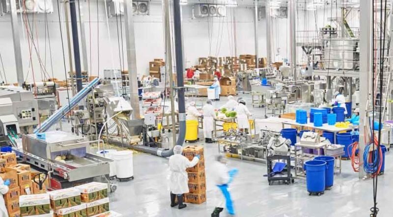 So You Want to Understand Food and Beverage Processing? Here’s What ...
