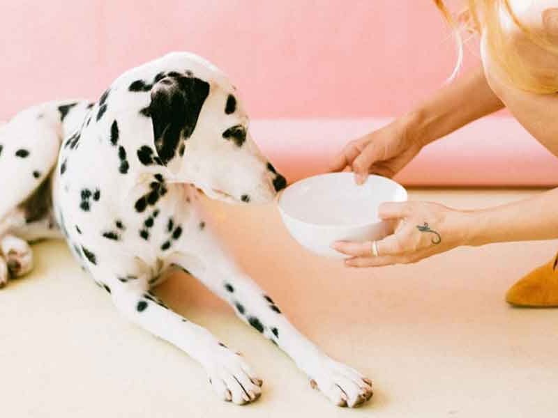 Who is Jeris Poindexter? Career and Family - The Curiously Creative